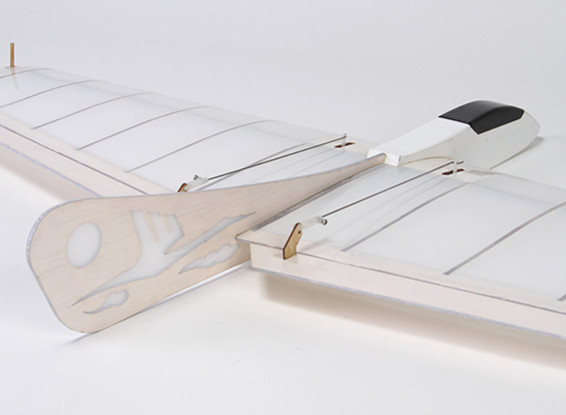HobbyKing® ™ Bird Plane DLG Balsa 800mm (PNF)